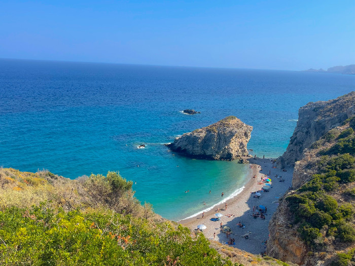 What to do :: Green Parrot Apartments